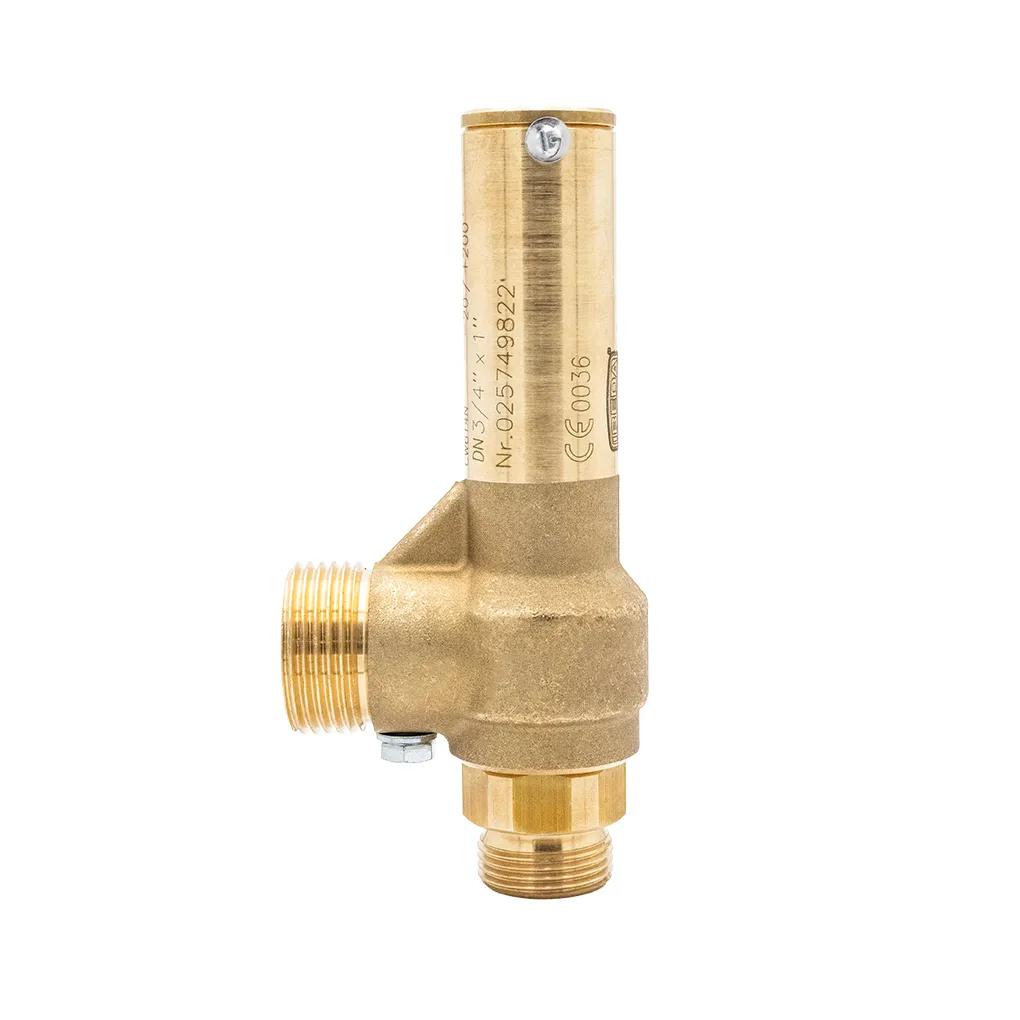 Safety Relief Valve MS-FKM G10/S G3/4 Male 16bar | Bulgin Group